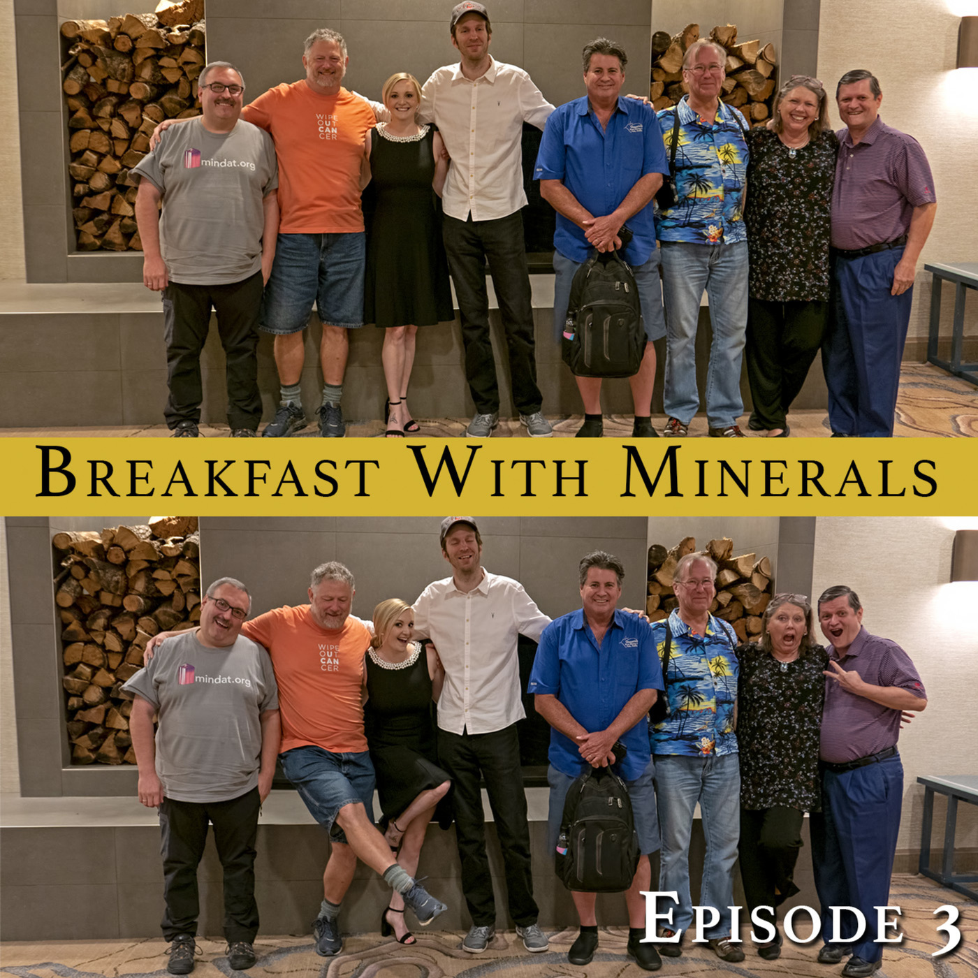 Breakfast With Minerals Episode 03: Professional Diggers