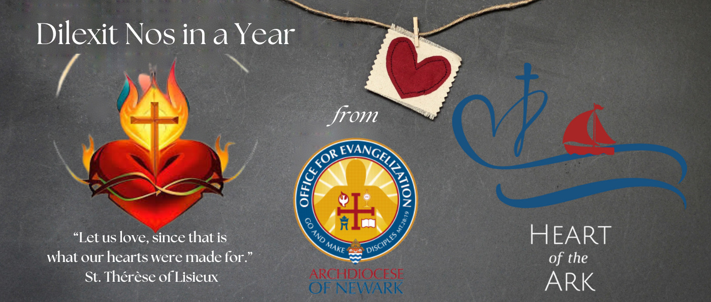 Heart of the Ark - Blog - Dilexit Nos in a Year from the Heart of the Ark